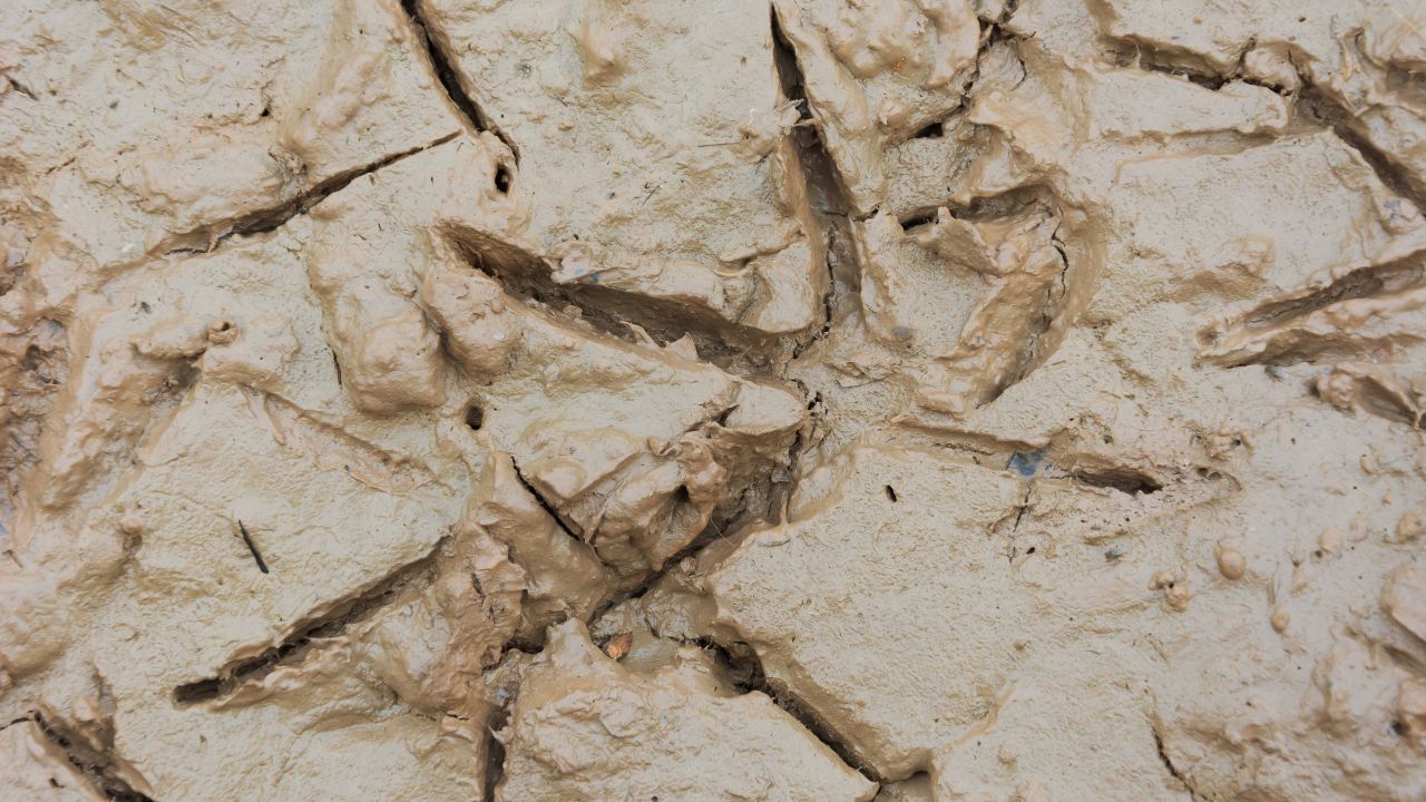 Wondering About Those Annoying Crow’s Feet? Here’s the Scoop!